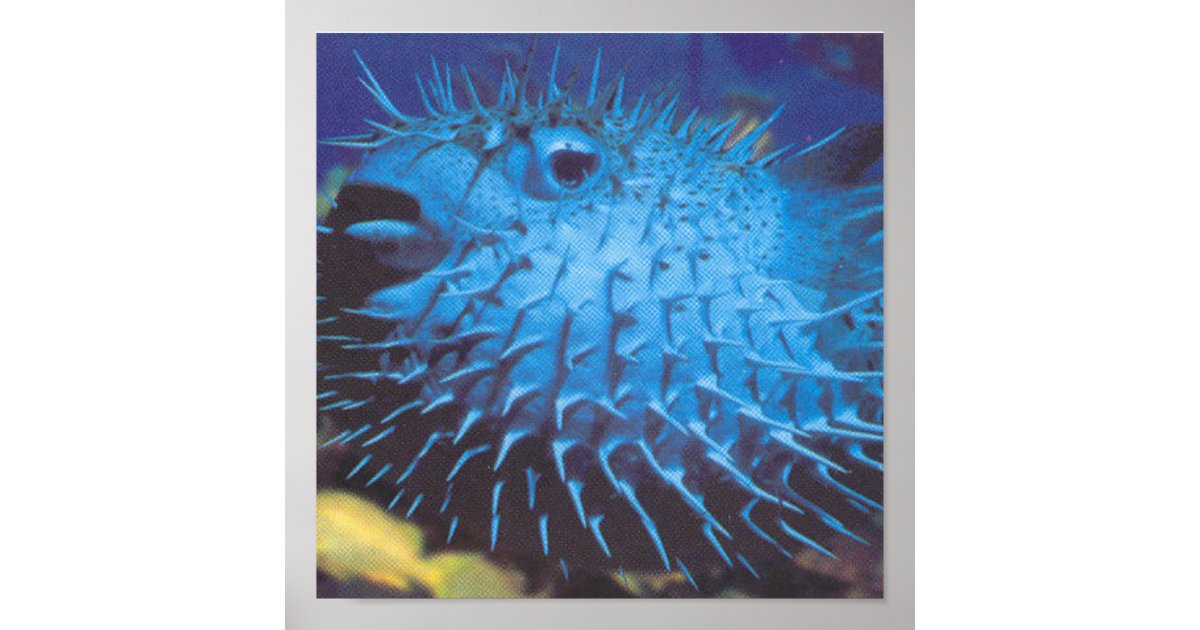 Pufferfish Poster | Zazzle
