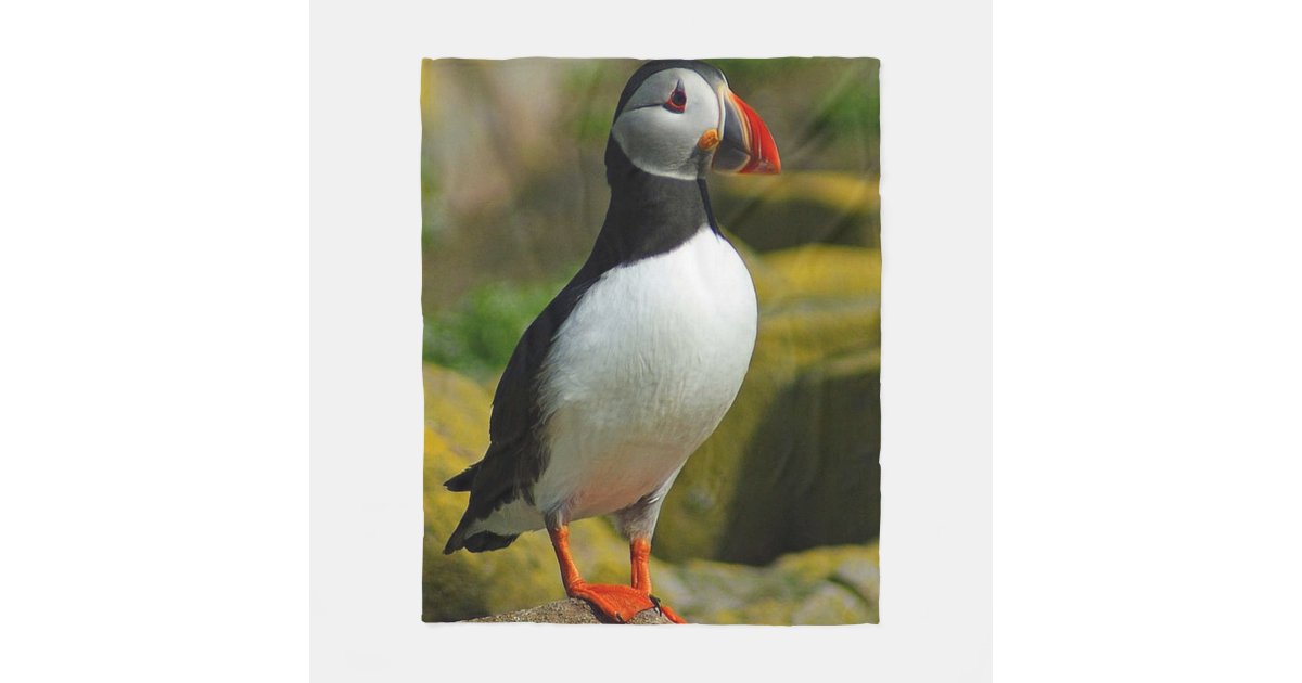 Puffin Bird Fleece Blanket | Zazzle