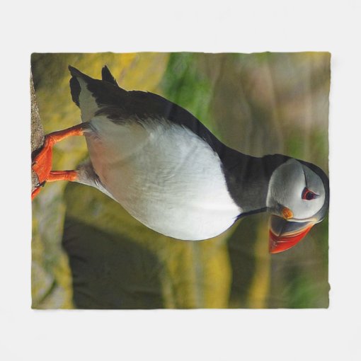 Puffin Bird Fleece Blanket | Zazzle