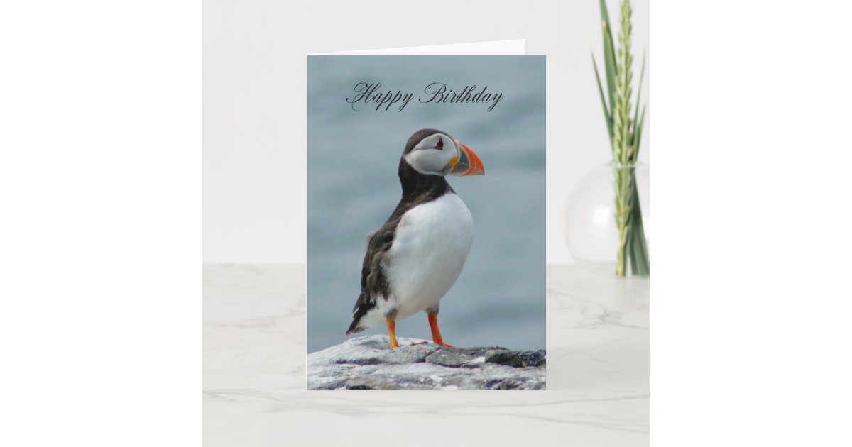 Puffin Birthday greeting Card | Zazzle