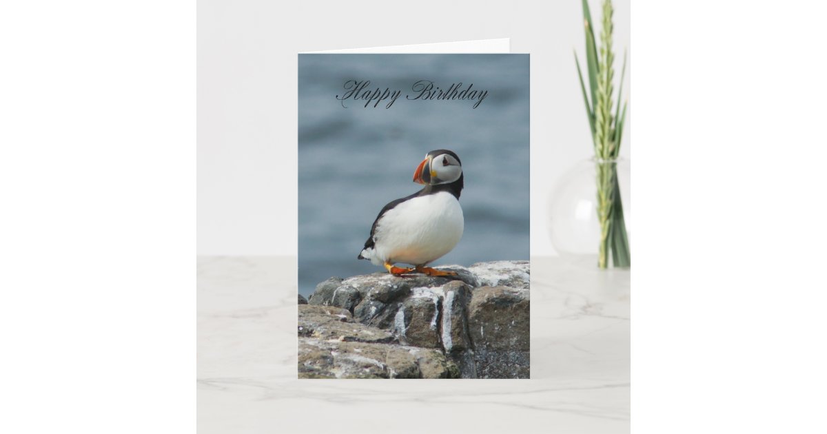 Puffin Birthday Greeting Card | Zazzle