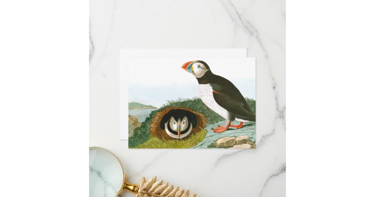 Puffin by John James Audubon Thank You Card | Zazzle