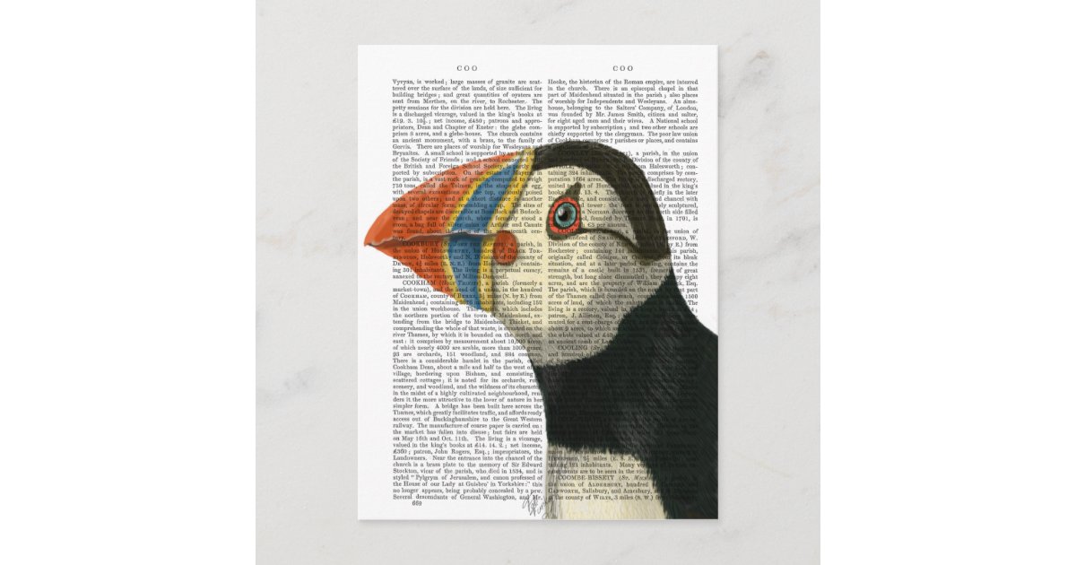 Puffin Portrait Postcard | Zazzle