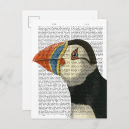 Puffin Portrait Postcard | Zazzle
