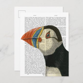 Puffin Portrait Postcard | Zazzle