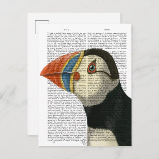 Puffin Portrait Postcard | Zazzle