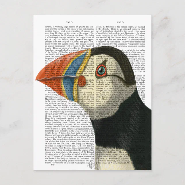 Puffin Portrait Postcard | Zazzle