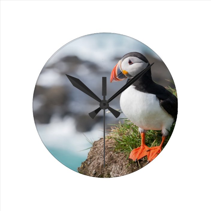 Puffin Round Clock | Zazzle.com