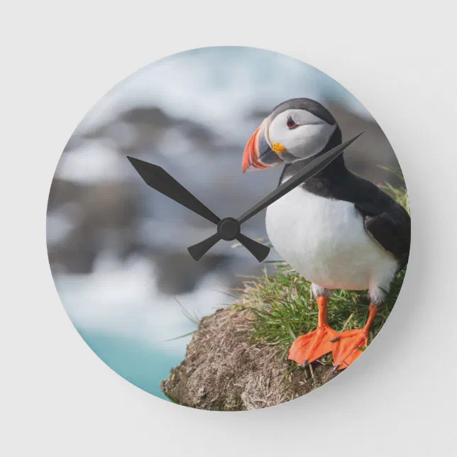 Puffin Round Clock | Zazzle