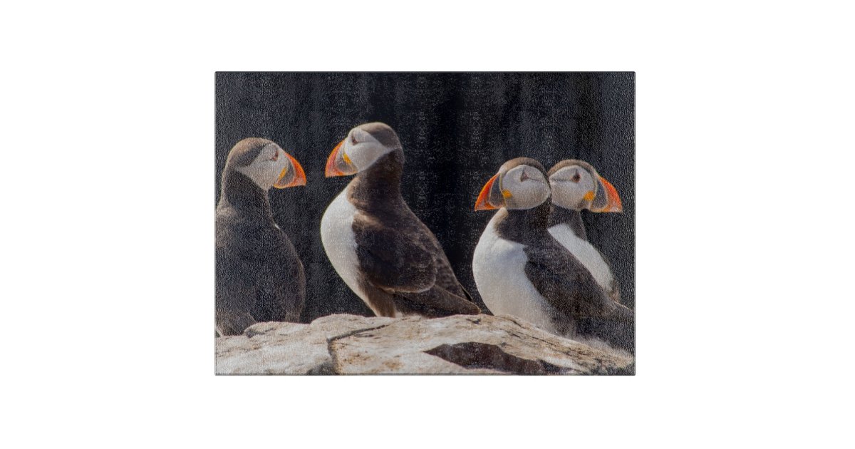 Puffins Cutting Board | Zazzle