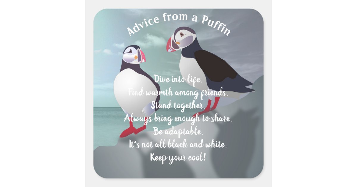 Puffins Design Square Sticker | Zazzle