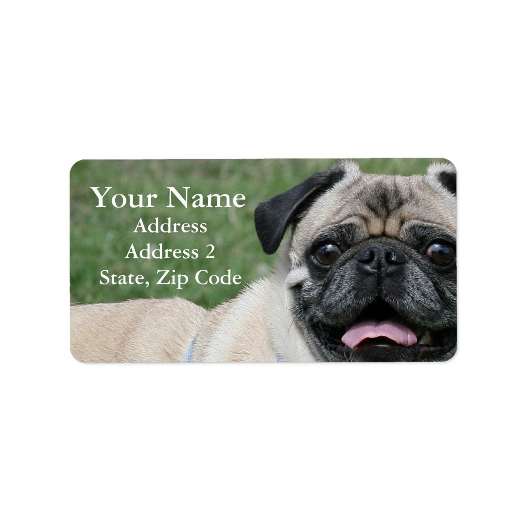 Pug Address Labels | Zazzle