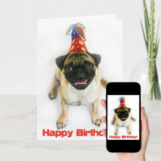 Pug Birthday Card | Zazzle