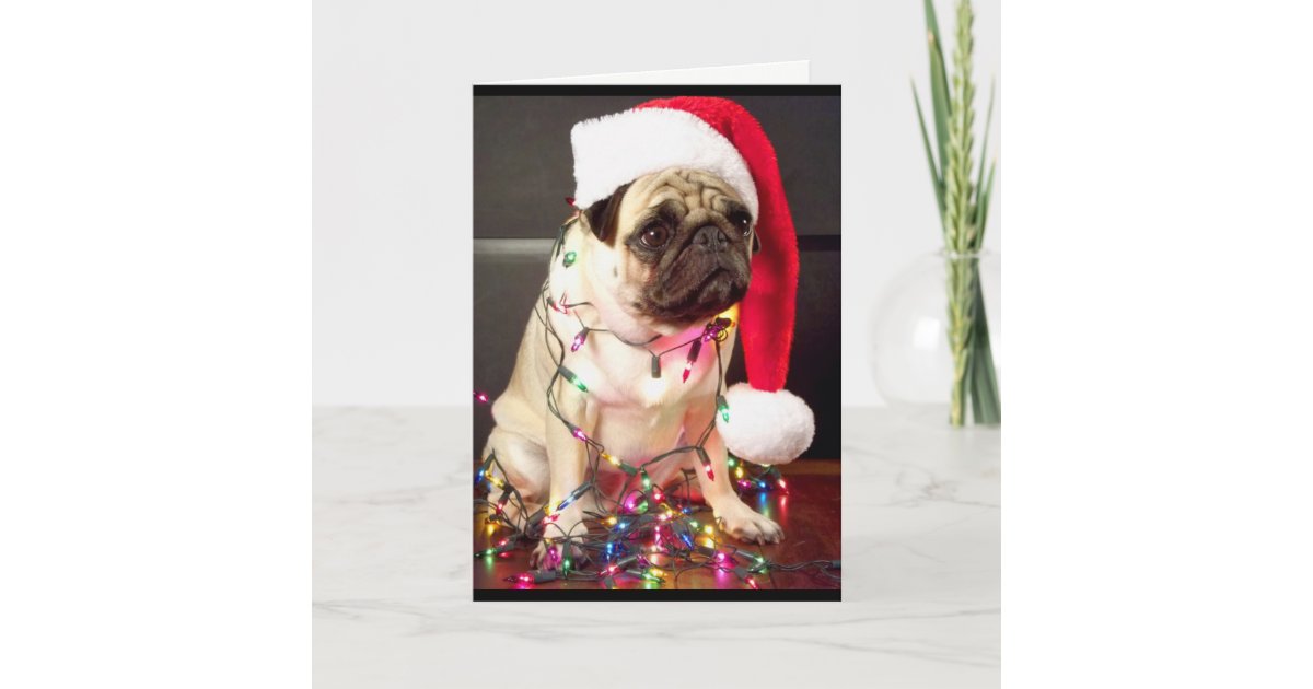 Pug Christmas Card | Zazzle
