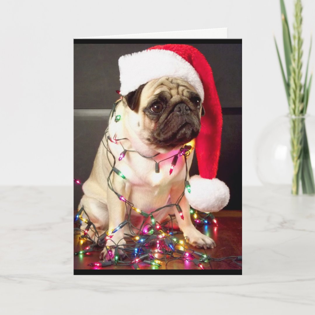 Pug Christmas Card | Zazzle