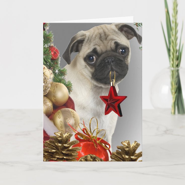 Pug Christmas Cards | Zazzle