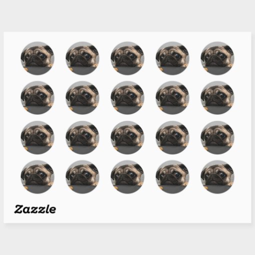 Pug Classic Round Sticker | Zazzle