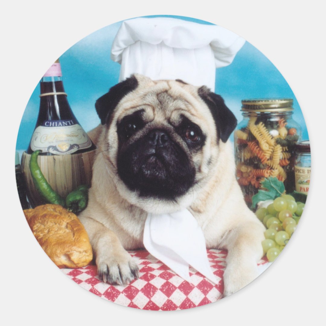 Pug Dog Chef Classic Round Sticker | Zazzle