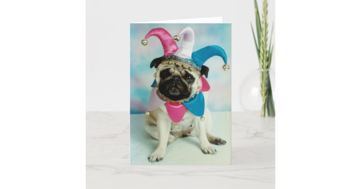 Pug Dog Jester Clown Card | Zazzle.com