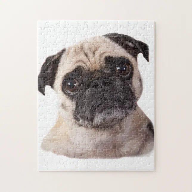 pug dog jigsaw puzzle | Zazzle