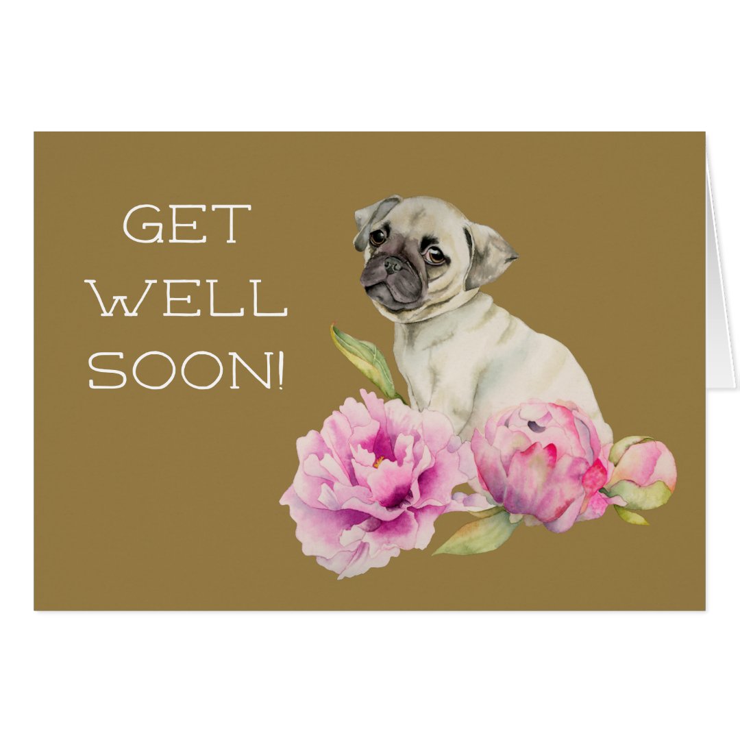 Pug Dog Peony Flowers | Get Well Soon Card | Zazzle