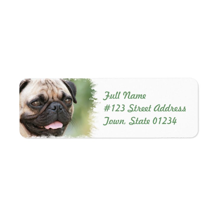 Pug Dog Return Address Label | Zazzle