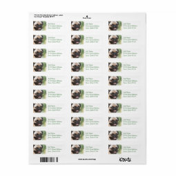 Pug Dog Return Address Label | Zazzle