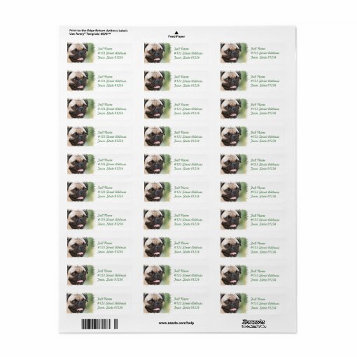 Pug Dog Return Address Label | Zazzle