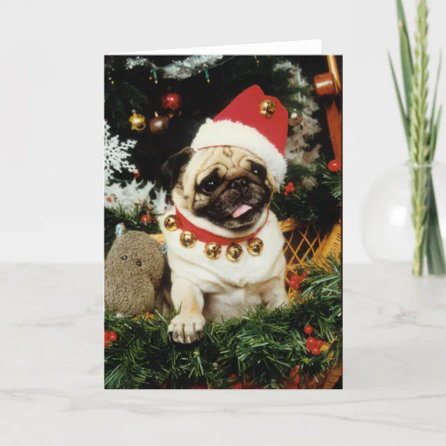 Pug Dog Santa Christmas Card | Zazzle