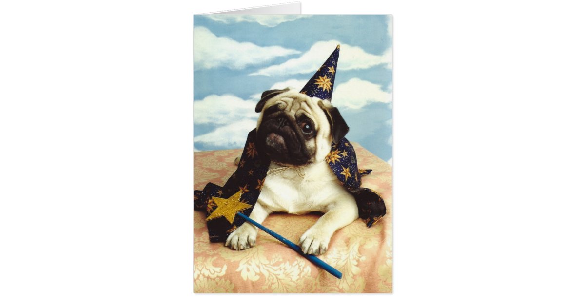Pug Dog Wizard Magician Card | Zazzle.com