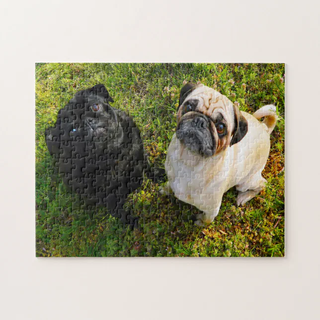 Pug Dogs. Jigsaw Puzzle | Zazzle