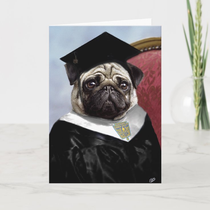 Pug family graduation card | Zazzle