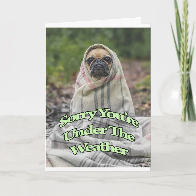 Pug Get Well Card | Zazzle