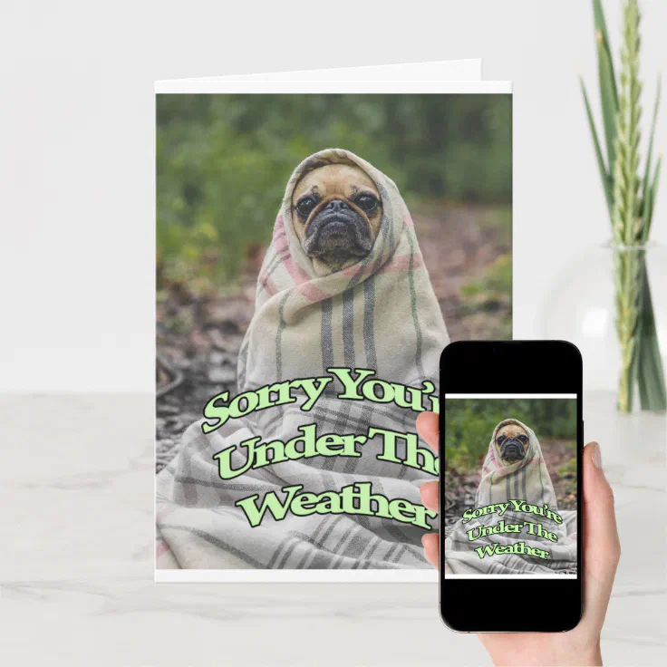 Pug Get Well Card | Zazzle