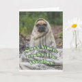 Pug Get Well Card | Zazzle