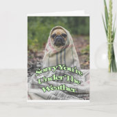 Pug Get Well Card | Zazzle