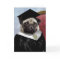 Pug graduation card | Zazzle