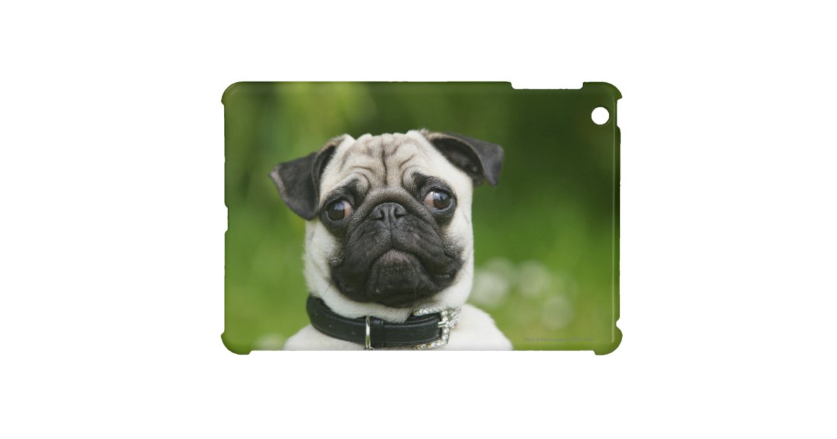 Pug headshot iPad mini cover | Zazzle