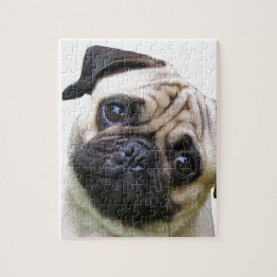 pug jigsaw puzzle | Zazzle.com