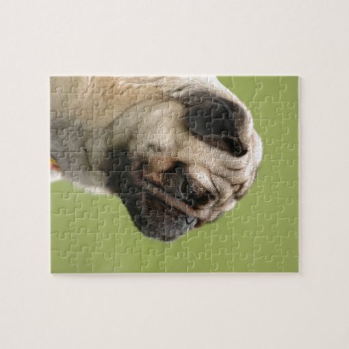 Pug Jigsaw Puzzle | Zazzle