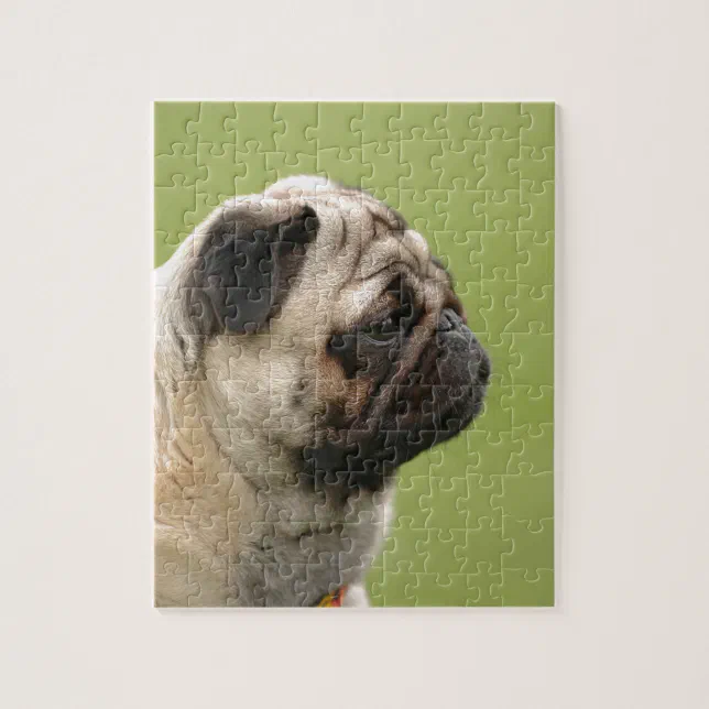 Pug Jigsaw Puzzle | Zazzle