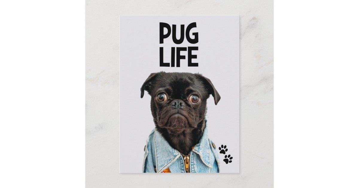 Pug Life Postcard | Zazzle