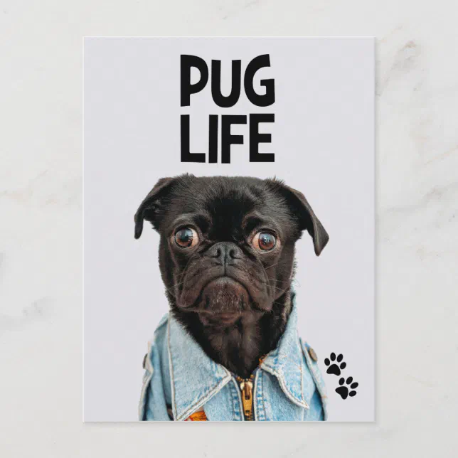 Pug Life Postcard | Zazzle
