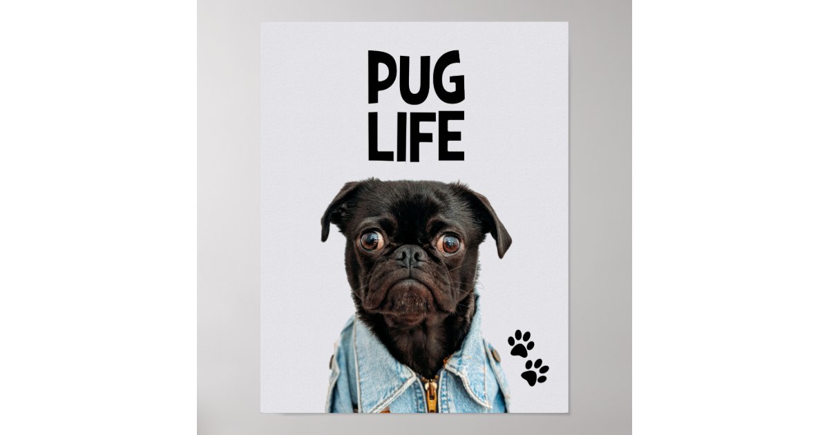 Pug Life Pun Poster | Zazzle