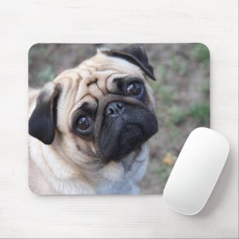 PUG MOUSE PAD | Zazzle