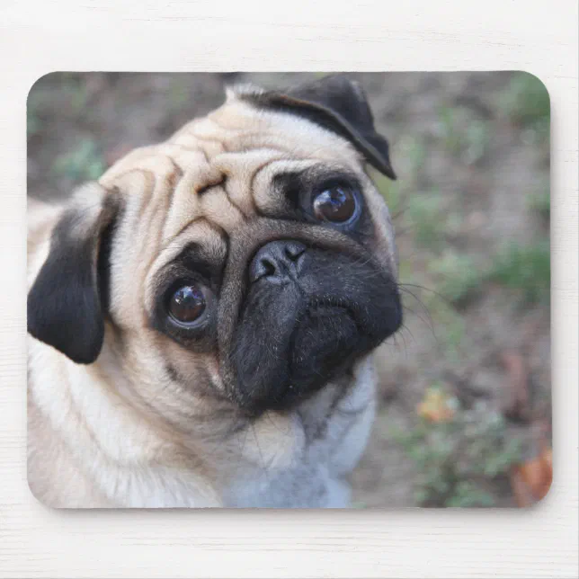 PUG MOUSE PAD | Zazzle