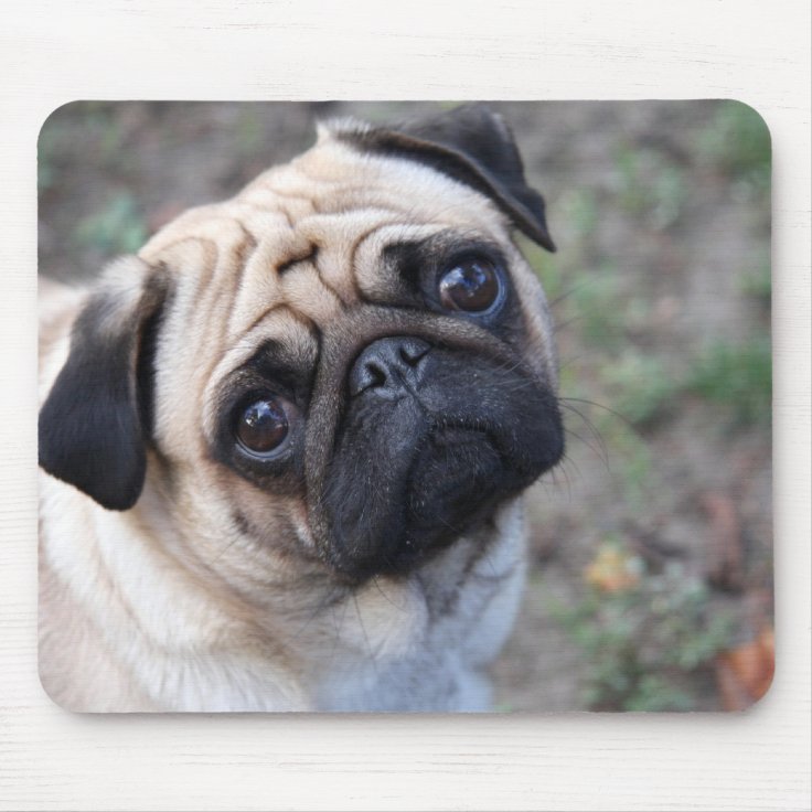 PUG MOUSE PAD | Zazzle
