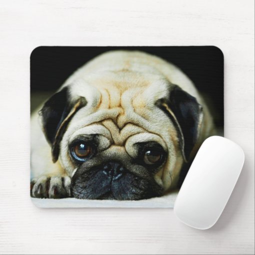 Pug Mouse Pad | Zazzle