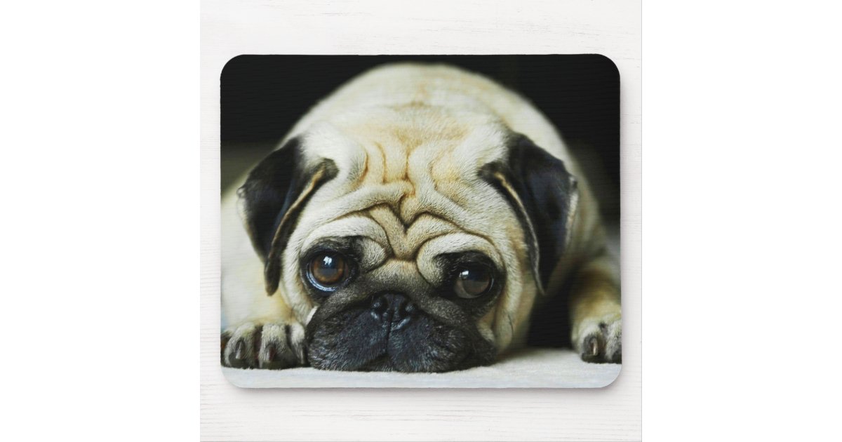 Pug Mouse Pad | Zazzle