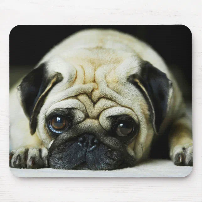 Pug Mouse Pad | Zazzle